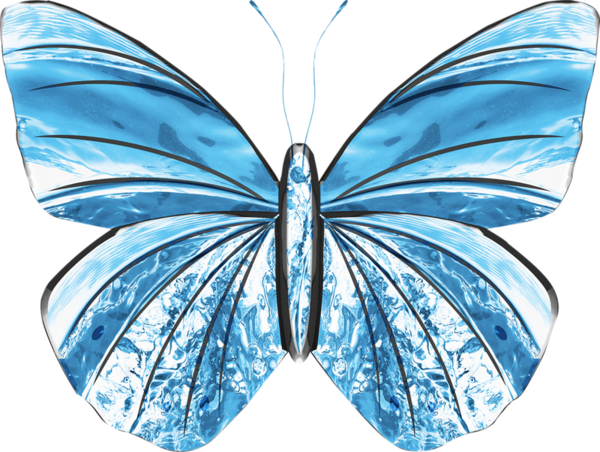 Ice Butterfly Png - (600x452) Png Clipart Download