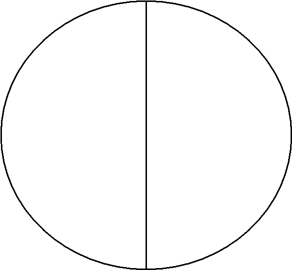 Perc Trax - (641x690) Png Clipart Download