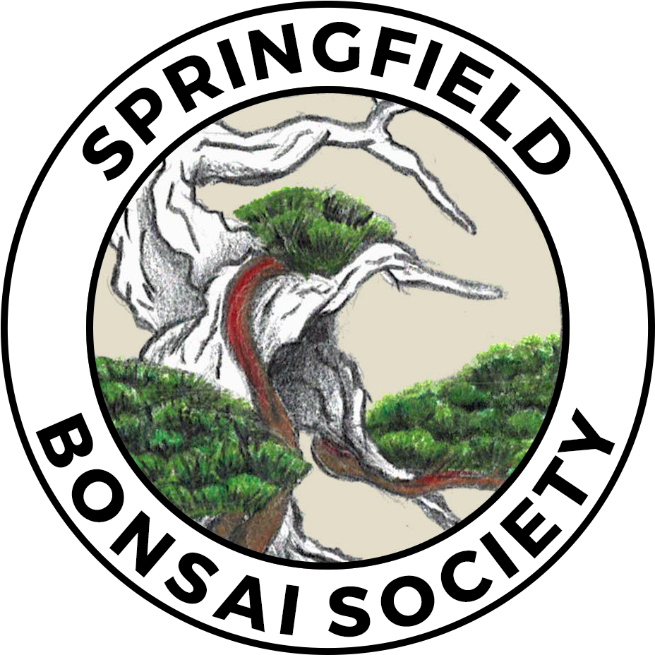 Springfield Bonsai Society - City Of Wasilla Seal - (940x950) Png ...