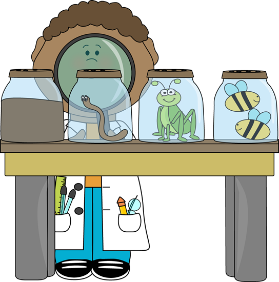 Scientist Inspecting Insects - Insect Scientist Clipart - (544x550) Png ...