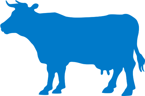 Beef Cattle Hereford Cattle Angus Cattle Open Range - Cattle Crossing ...