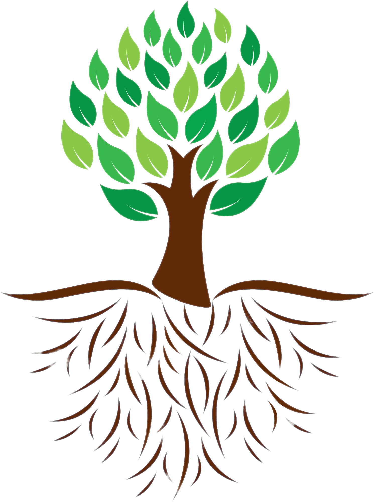 Tree And Roots Colour Illustration Transparent Png - Tree With Roots ...