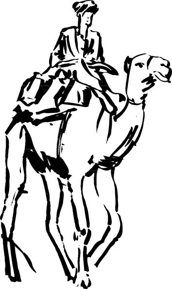 Man Riding A Camel Clip Art At Clker - Camel Riding Vector - (354x594 ...