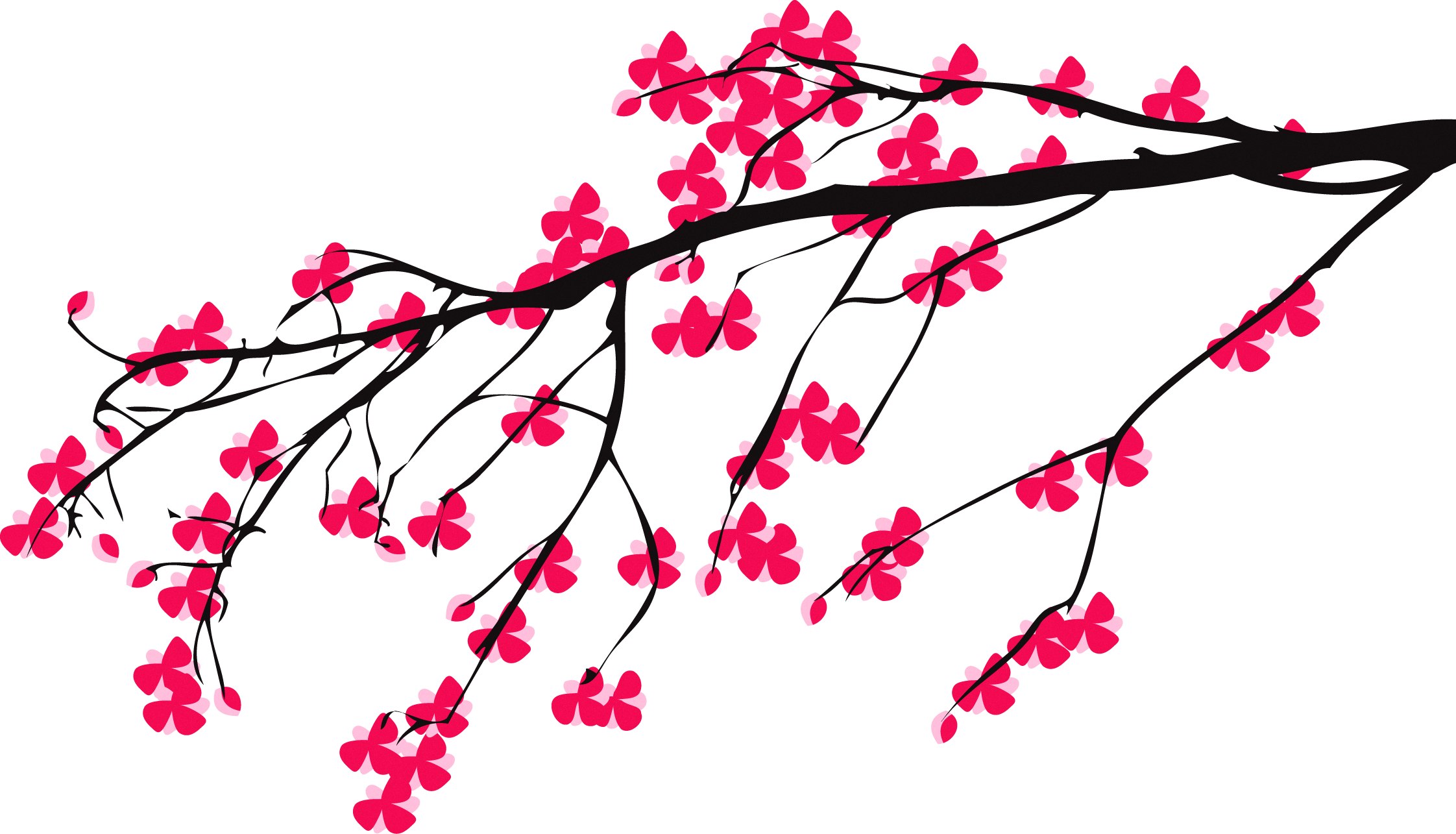 Cherry Blossom Tree Clip Art - Tao Te Ching By Lao Tse - (2244x1285 ...