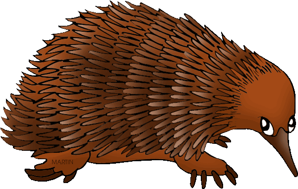 Echidna Clipart Aussie Animal - Echidna Clipart - (648x425) Png Clipart ...