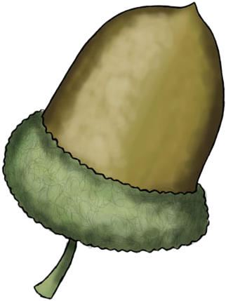 Free Acorn Clip Art - Clip Art - (390x477) Png Clipart Download
