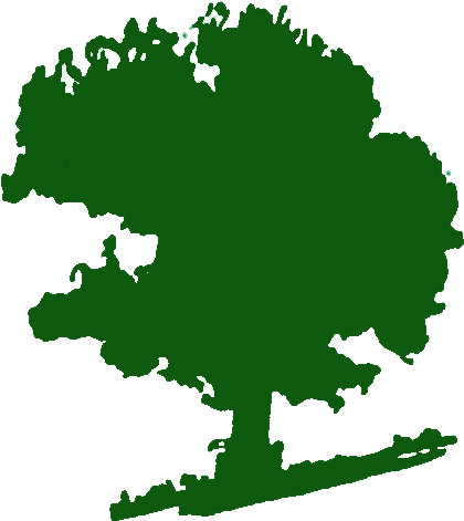 Green Tree - (512x552) Png Clipart Download