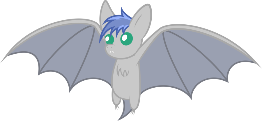 Silverrainclouds, Bat, Oc, Oc Only, Recolor, Safe, - Cartoon - (900x417 ...
