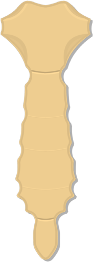 Picture Of Sternum - Sternum Bone - (635x550) Png Clipart Download