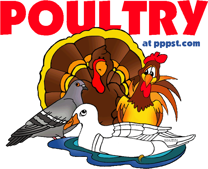 Poultry Animals Clip Art - (709x588) Png Clipart Download
