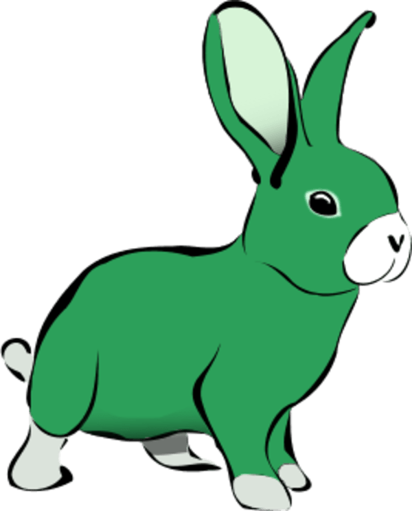 Rabbit - Rabbit Cartoon Png - (600x744) Png Clipart Download