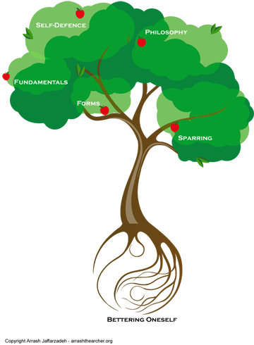 Curriculum Tree - Illustration - (360x490) Png Clipart Download