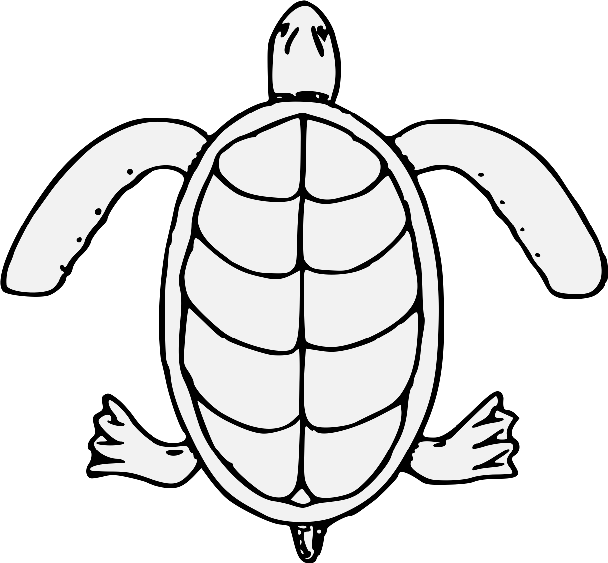 Pdf - Sea Turtle - Full Size PNG Clipart Images Download