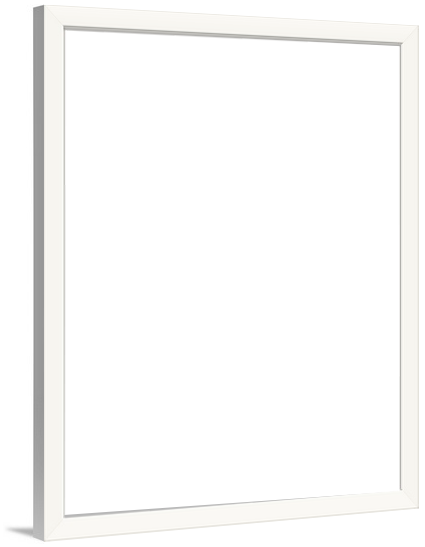 Hidden - Picture Frame - (425x547) Png Clipart Download