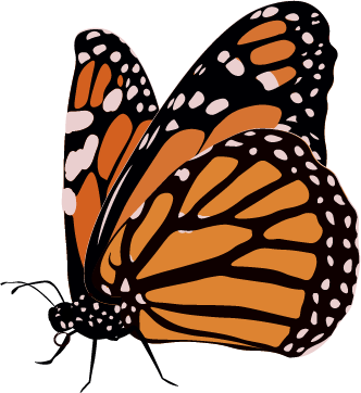 Monarch Butterfly Clipart 23, Buy Clip Art - Life Cycle Of A Butterfly ...