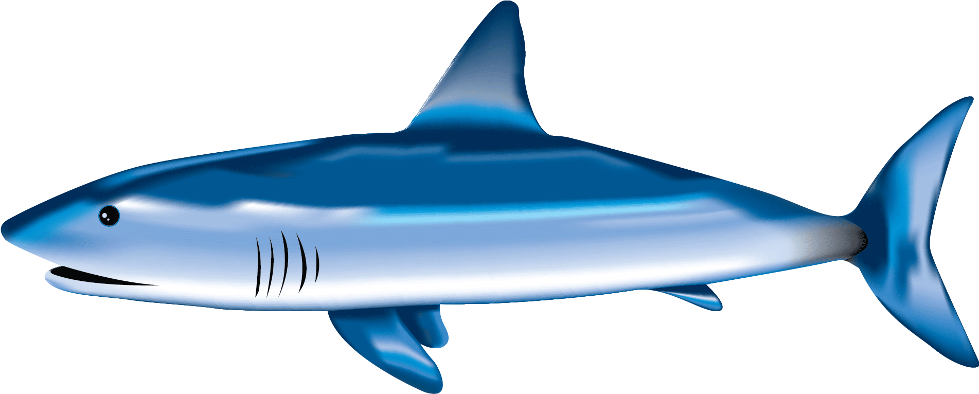 Shark Fin Animated Gif - Ich Esse Fische. Haifische Essen Fische ...