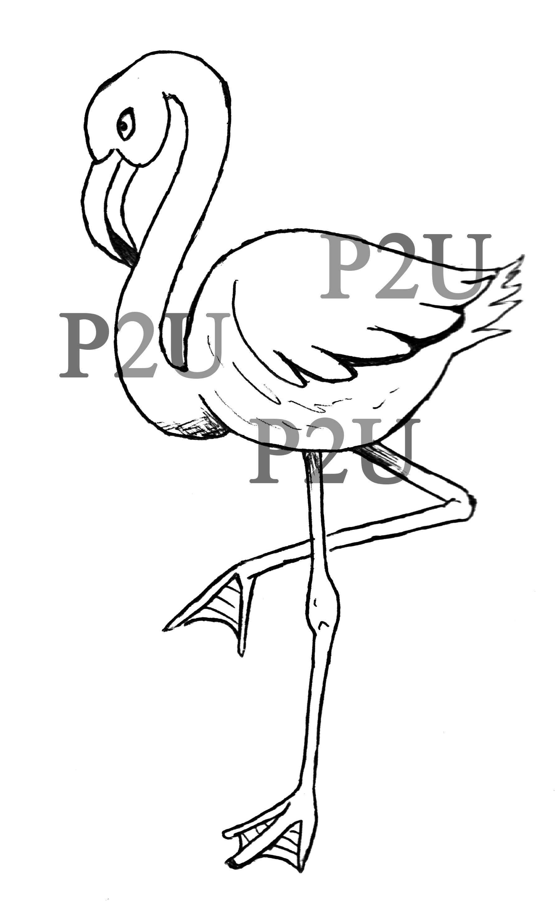 Line Art Drawing Cartoon Flamingo Clip Art - Flamingo Style Drawing ...