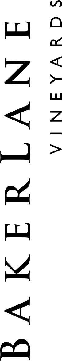 Logos - Baker Tilly Berk - (240x1200) Png Clipart Download