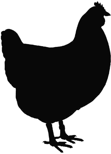 Chicken Clipart Black - (392x530) Png Clipart Download