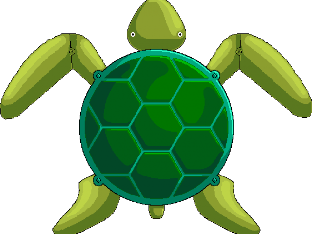 Sea Turtle Real - Turtle Body Png - (640x480) Png Clipart Download