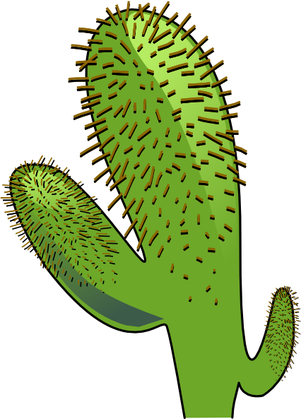 Animated Cactus - (426x593) Png Clipart Download