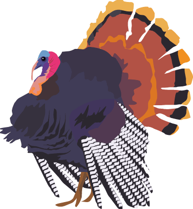 Download Turkey Clip Art ~ Free Clipart Of Turkeys - Realistic Cartoon ...