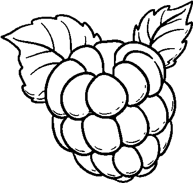 Raspberries Coloring Page Free Printable Pages What - Raspberry ...