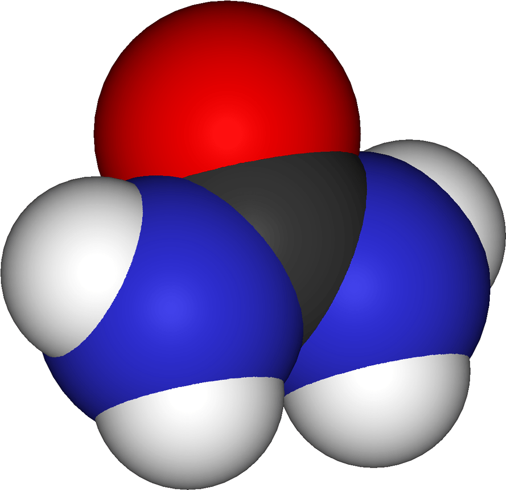 Urea, As In Urine - Urea Formula - (1100x1069) Png Clipart Download