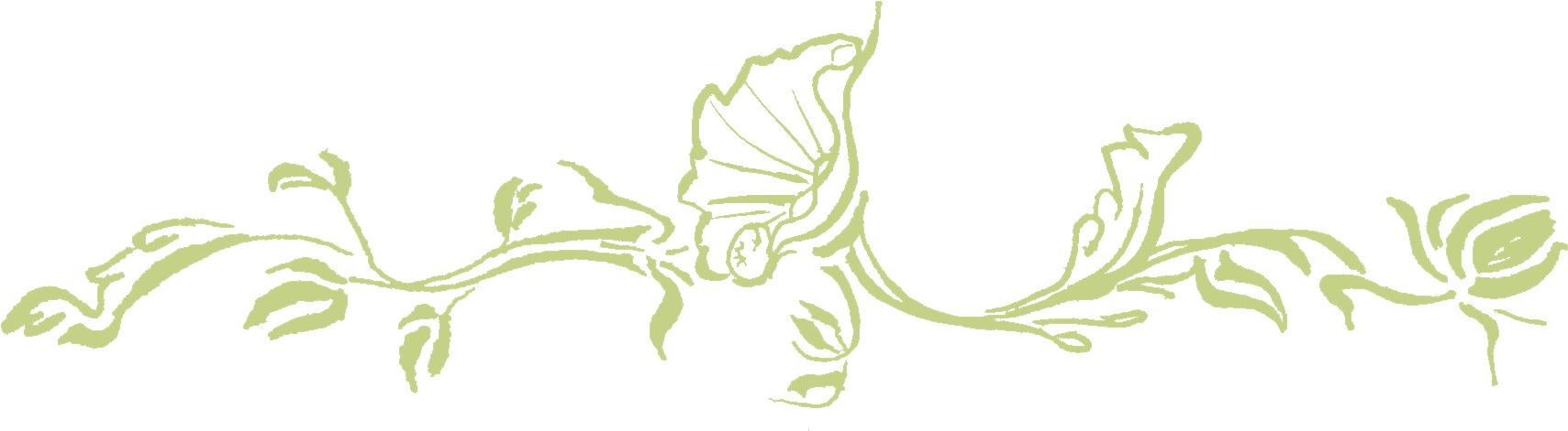 Sketch Vines Png - (1830x576) Png Clipart Download