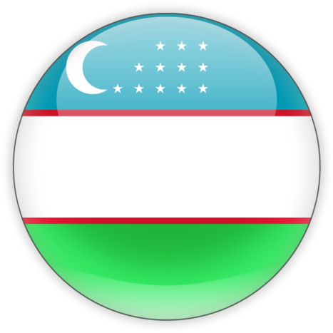 Uzbekistan Flag Icon Png - (640x480) Png Clipart Download
