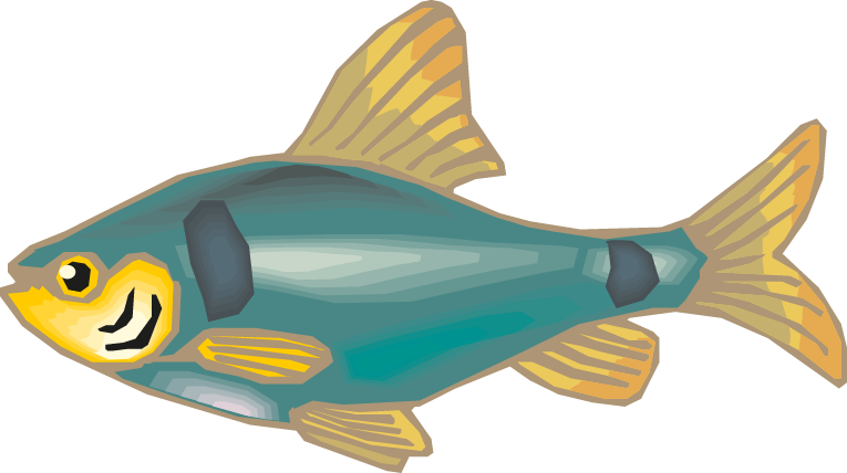 Creative Commons Attribution - Goldfish - (765x428) Png Clipart Download