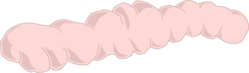 Clipart - File Large Intestine Gif - (866x256) Png Clipart Download