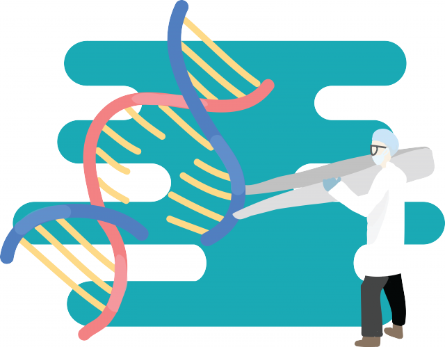 Daily Bruin - (640x499) Png Clipart Download