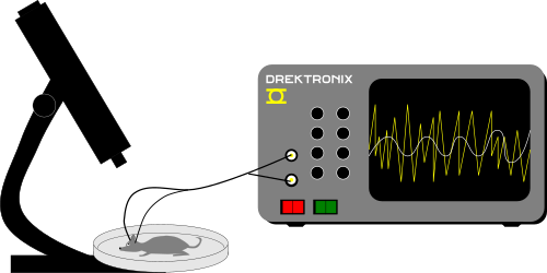 Image - Oscilloscope Clip Art - (500x250) Png Clipart Download
