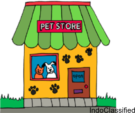 Pet Shop Cartoon Png - (640x480) Png Clipart Download