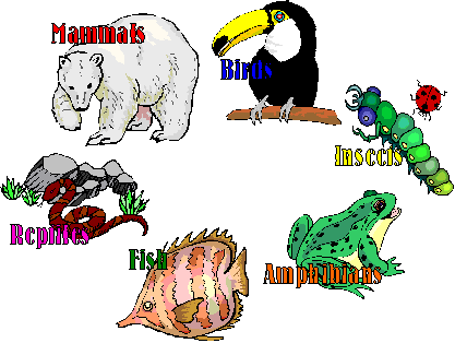 Clipart Of African Mammals Animals Cartoon Illustration - Animal Groups ...
