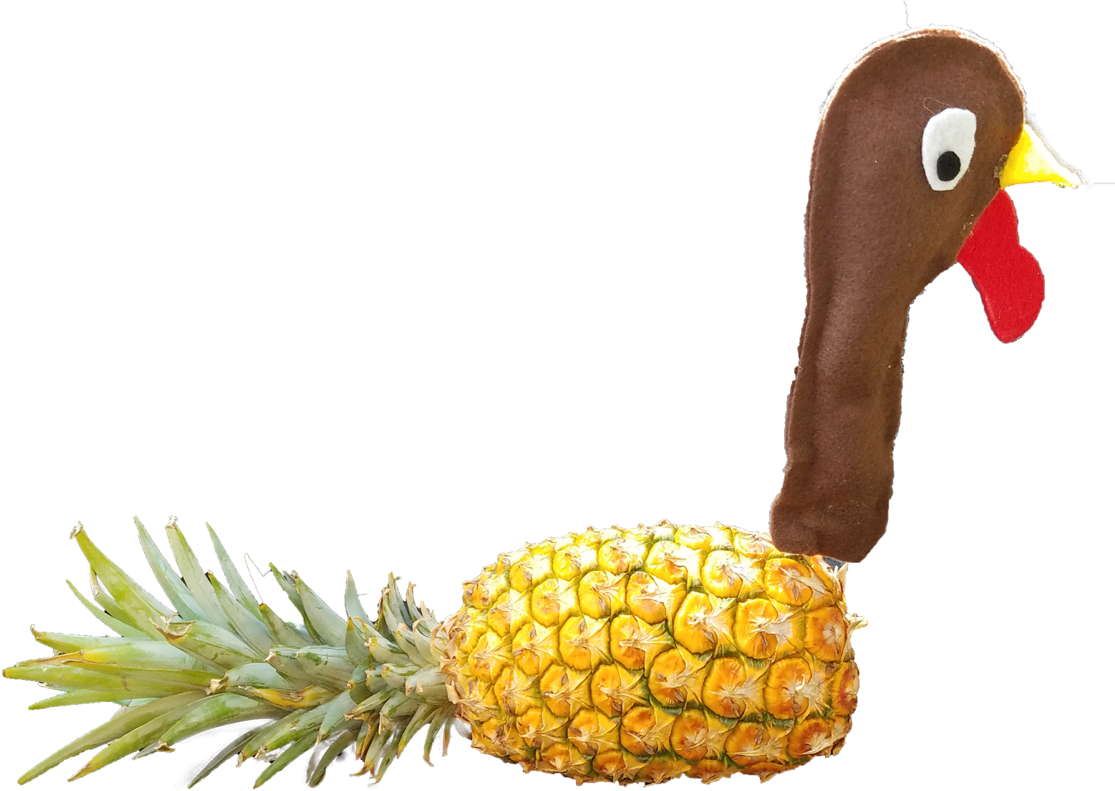 A Pineapple Turkey Is Easy To Create For Thanksgiving - Seedless Fruit ...