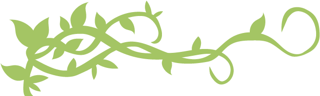 Ear Clip Art For Kids Download - Beanstalk Transparent - (681x206) Png ...