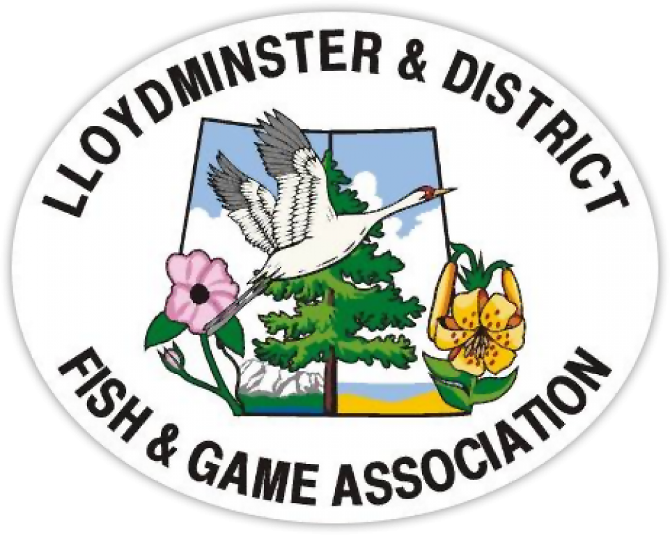 File Photo - Lloydminster - (962x768) Png Clipart Download