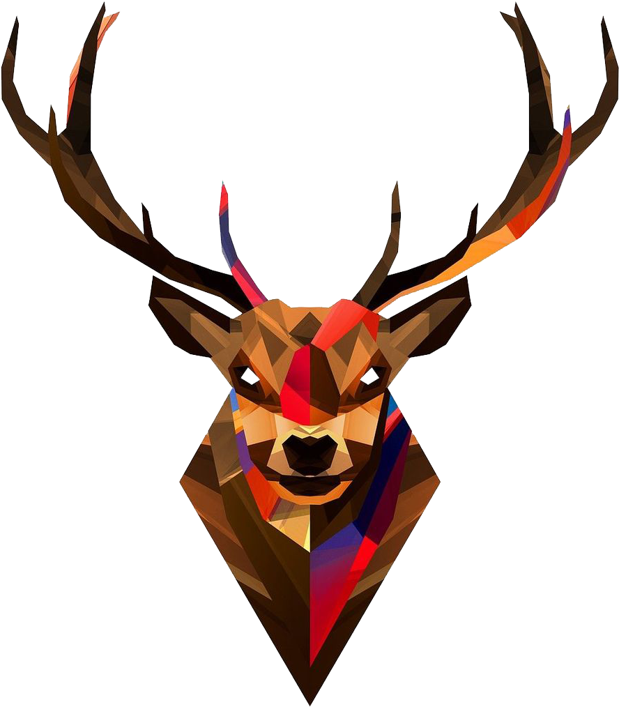 Deer Png Images Transparent Free - Deer Head Vector Png - (1920x1200 ...