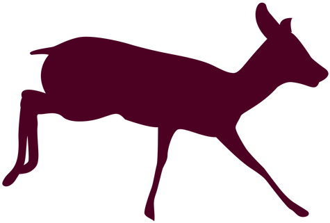 Deer Free Png Transparent Background Images Free Download - Deer ...
