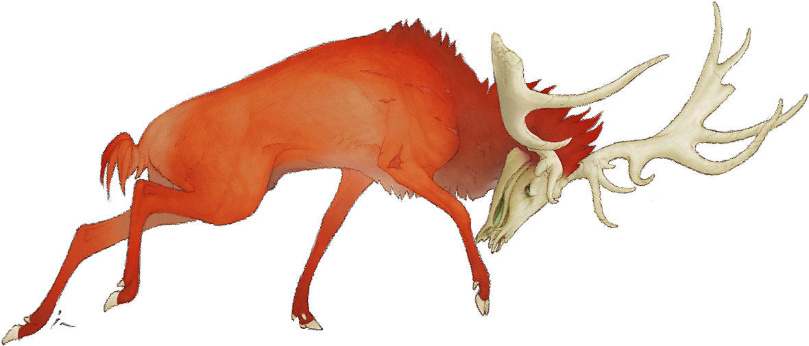 Traits - Illustration - (1191x584) Png Clipart Download