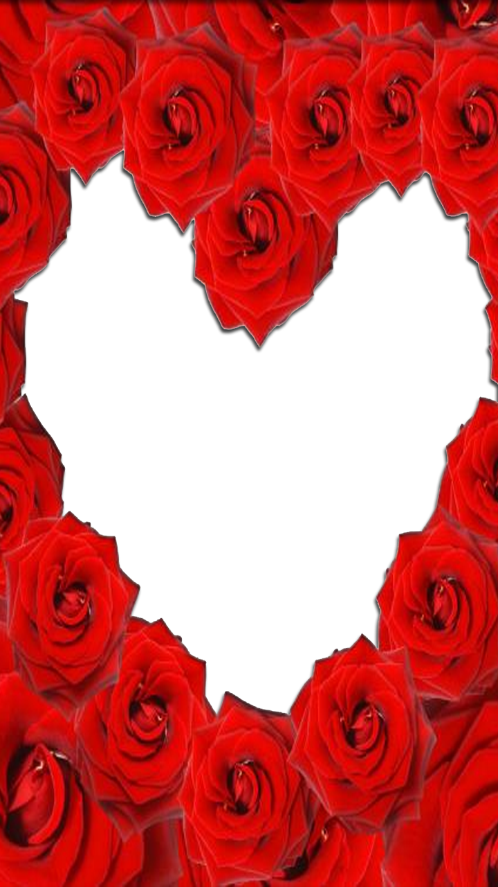 Red Rose Love Frame - Rose Love Frame - (720x1280) Png Clipart Download
