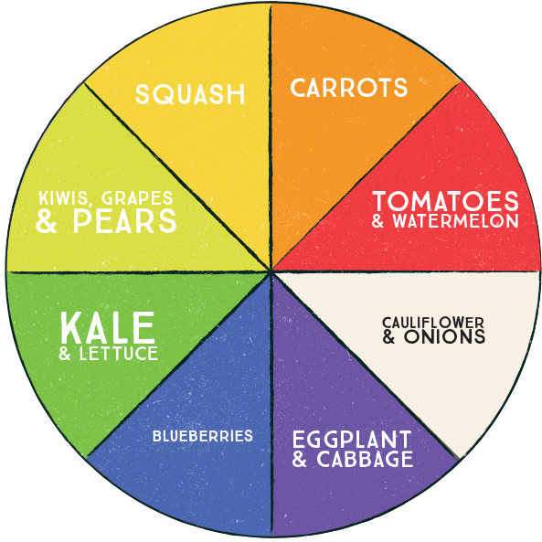 Vegetable Color Wheel - Color Wheel Fruits And Vegetables - (600x600 ...