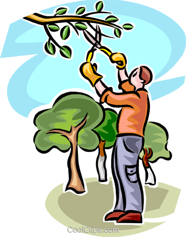 Tree Service Clip Art - Tree Trimming Clip Art - (377x480) Png Clipart ...