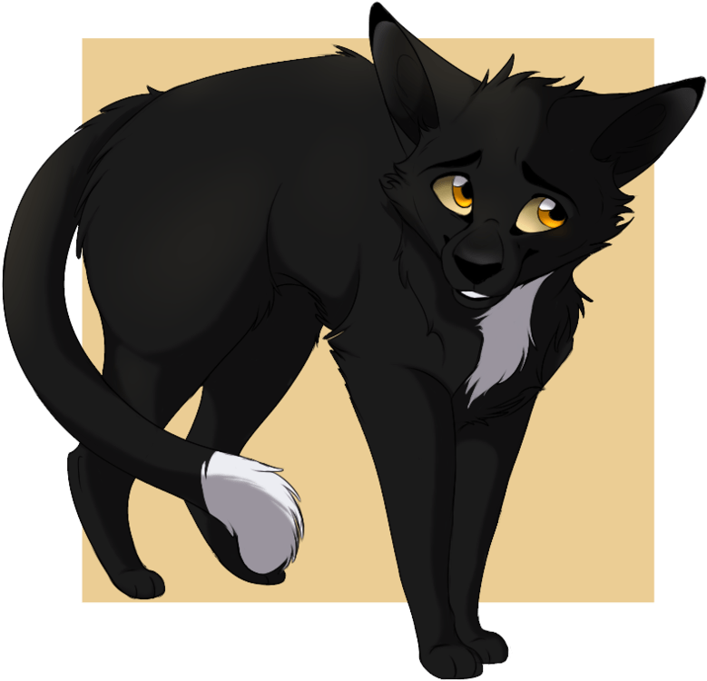 Warrior Cats Ravenpaw - (1009x791) Png Clipart Download