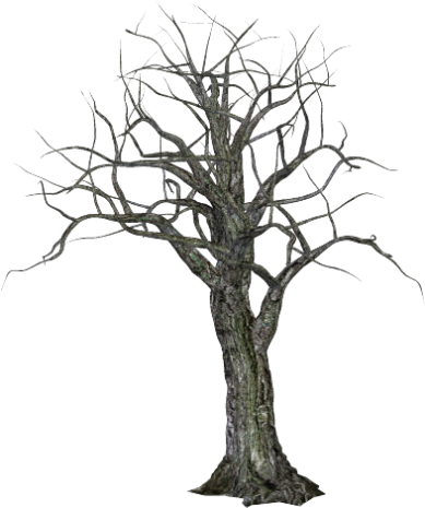 Tree-041 - Scary Tree Png - (389x465) Png Clipart Download