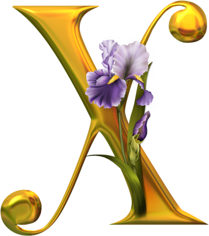 Alpha Iris - Alphabet - (684x800) Png Clipart Download
