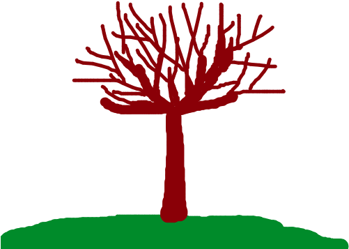 A Possible Life Cycle Of Trees - Illustration - (500x400) Png Clipart ...