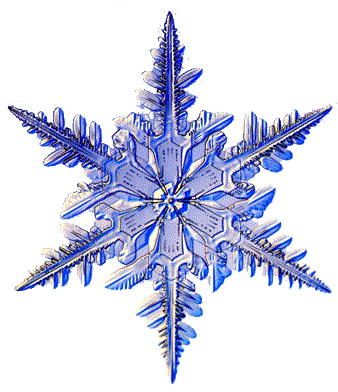 Popsicle Clipart Gif Transparent - Ice Crystals Under Microscope ...